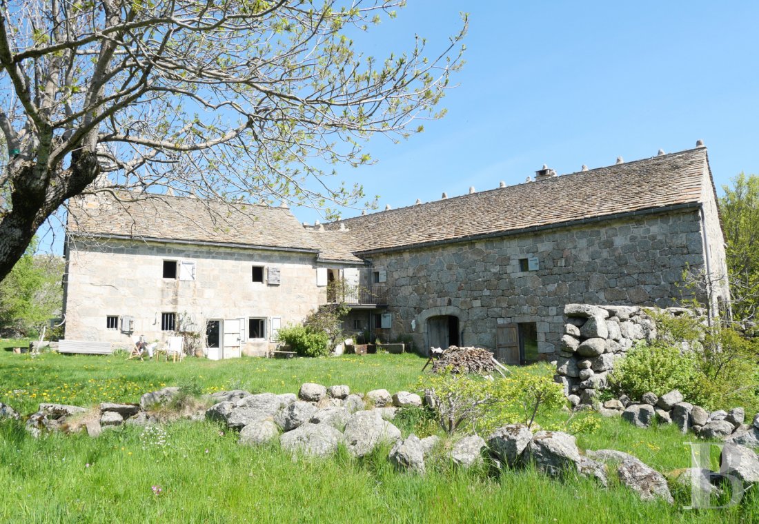 Farms for sale in France on the Mont-Lozère plateau