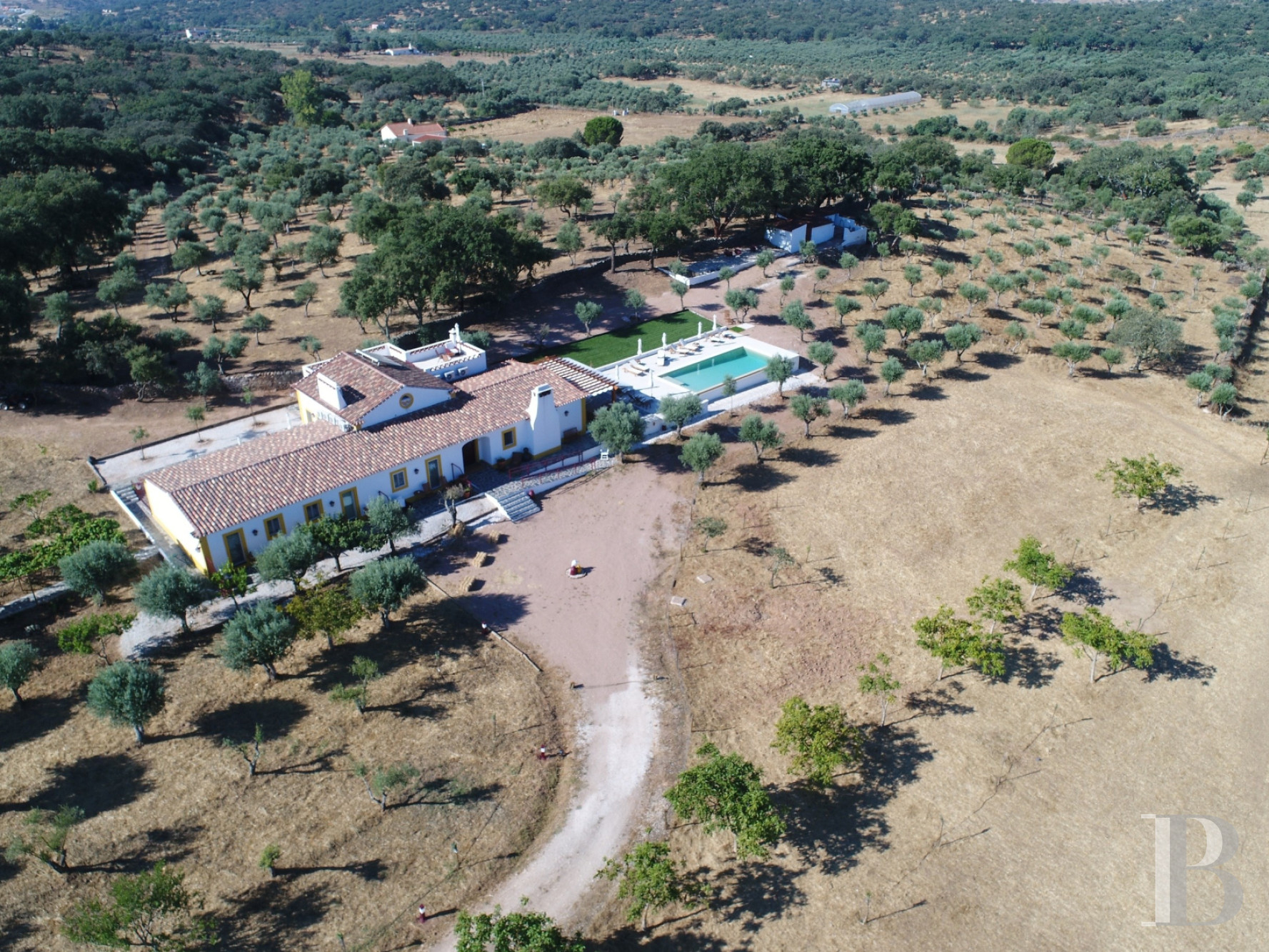Quinta for sale alentejo Portugal